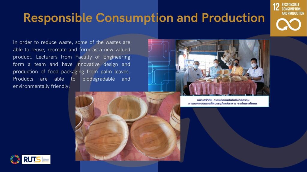 RUTS SDGs - Goal 12: Responsible