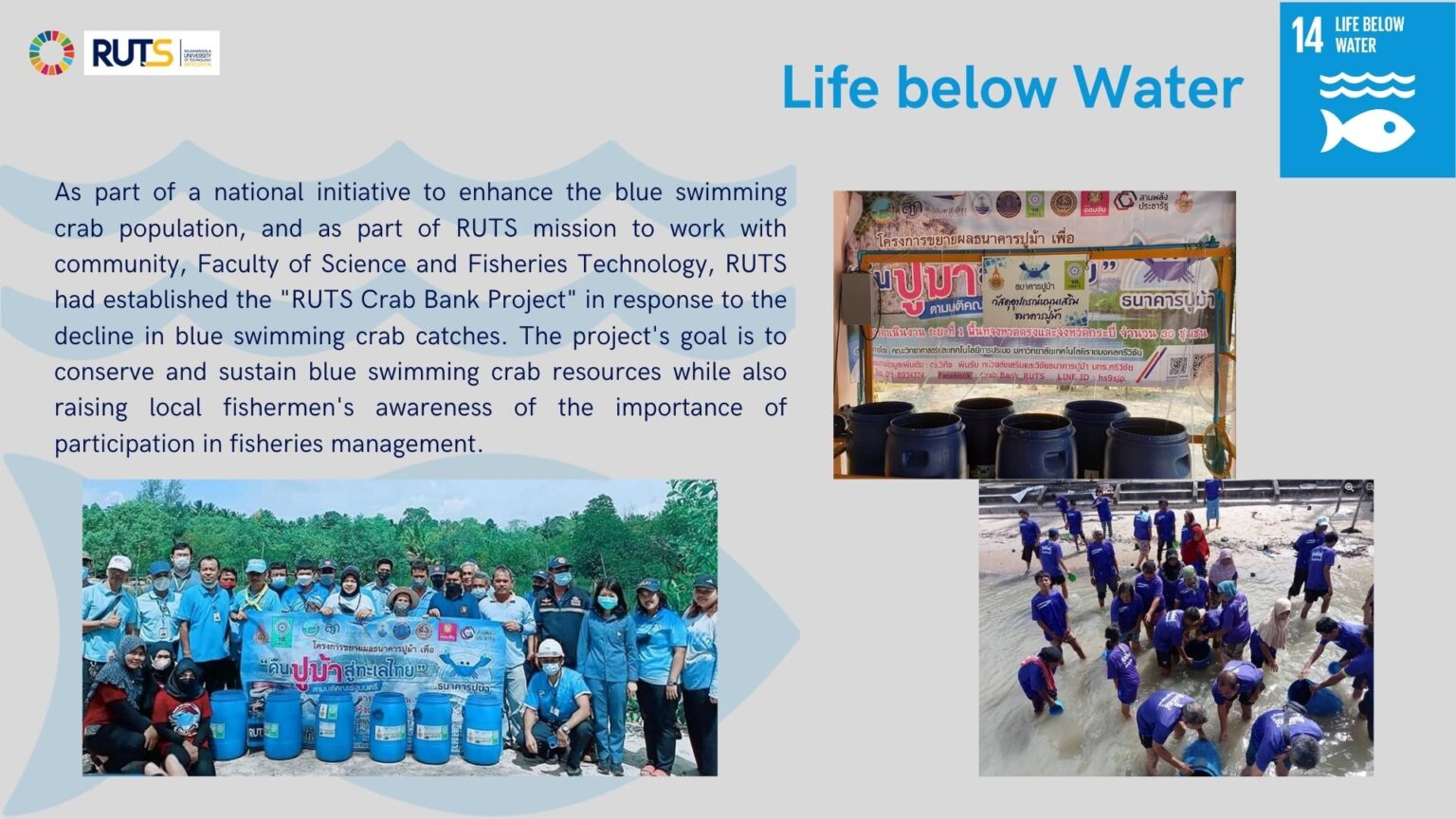 14.Life below Water YEAR 2021 – RUTS SDGs